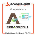 Home Page - ANGELONI SRL